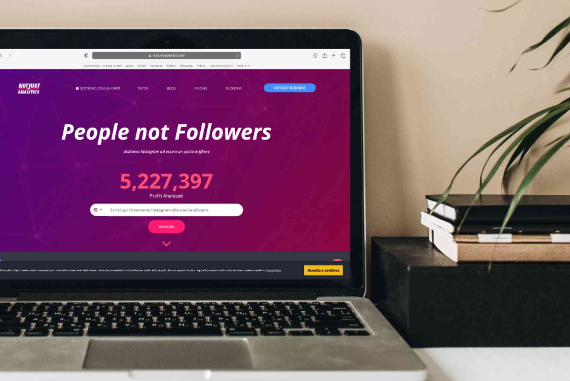 Not Just Analytics Guide